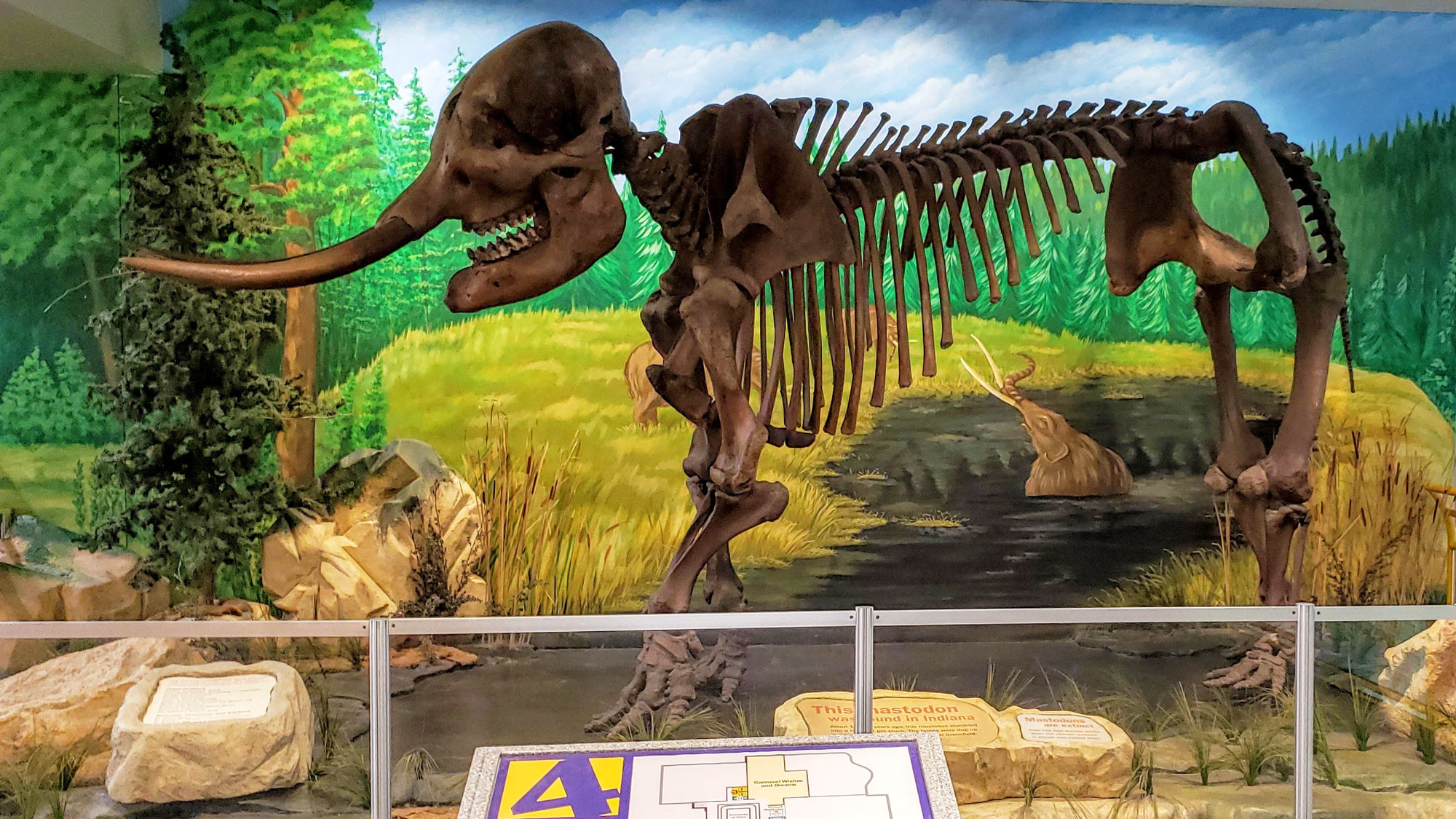 Science at The Children's Museum of Indianapolis | The Children's ...