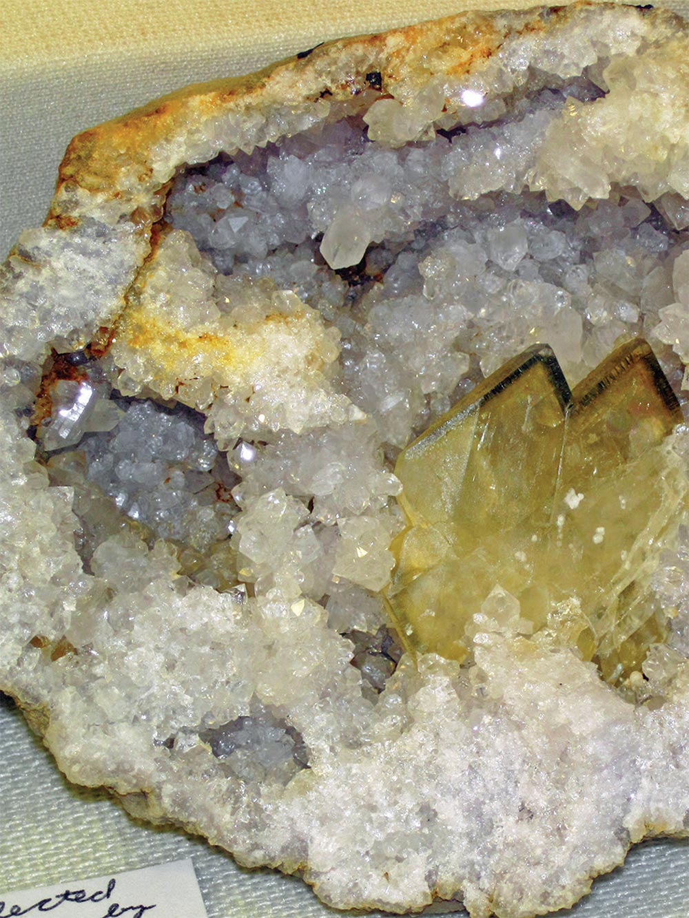 Classroom Resources | The Children's Museum of Indianapolis