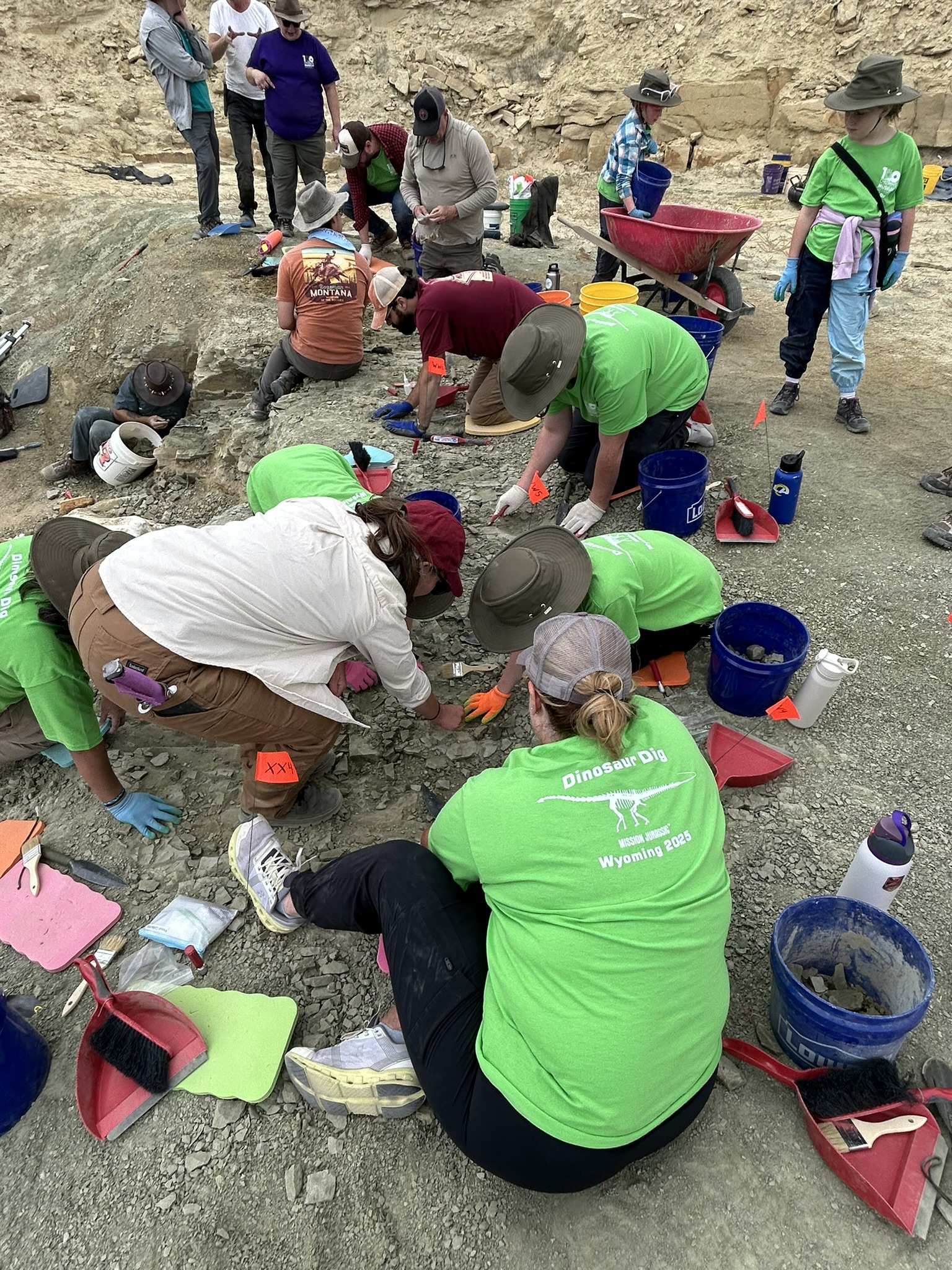 Wyoming Dinosaur Dig | The Children's Museum of Indianapolis