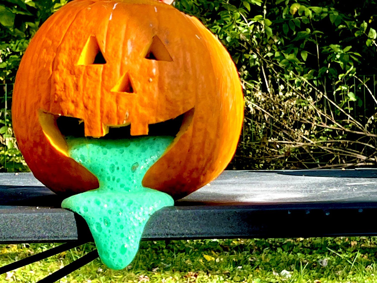Erupting Pumpkins DIY Science Experiment | The Children's Museum of ...