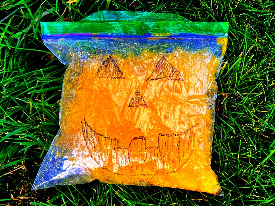 Easy Exploding Baggie Pumpkins Science Experiment | The Children's ...