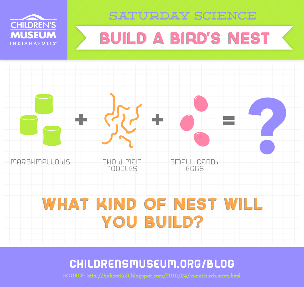 Saturday Science: Build a Bird's Nest | The Children's Museum of ...