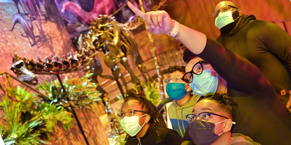 5 Tips for Visiting the NEW Dinosphere | The Children's Museum of ...