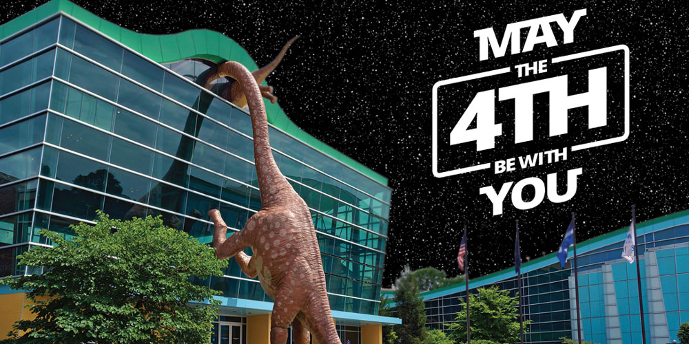 Star Wars Day Activities for May 4: May the Fourth Be with You! | The ...