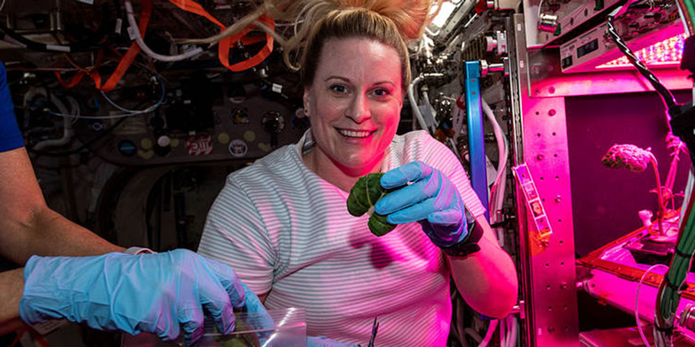 Welcoming More Women in STEM to Our Exhibit Walls | The Children's ...