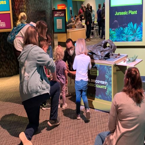 Dinosphere® | The Children's Museum of Indianapolis