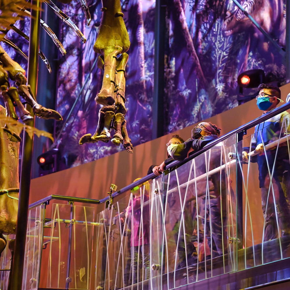 5 Tips for Visiting the NEW Dinosphere | The Children's Museum of ...