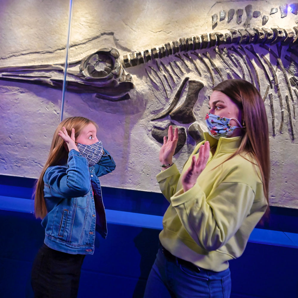 5 Tips for Visiting the NEW Dinosphere | The Children's Museum of ...