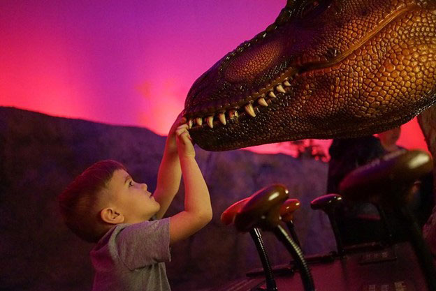 Encountering Dinosphere through a Child's Eyes | The Children's Museum ...