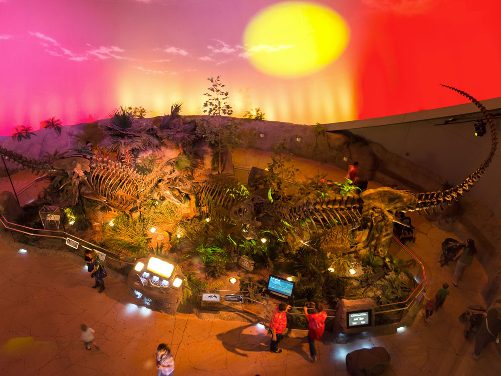 Encountering Dinosphere through a Child's Eyes | The Children's Museum ...