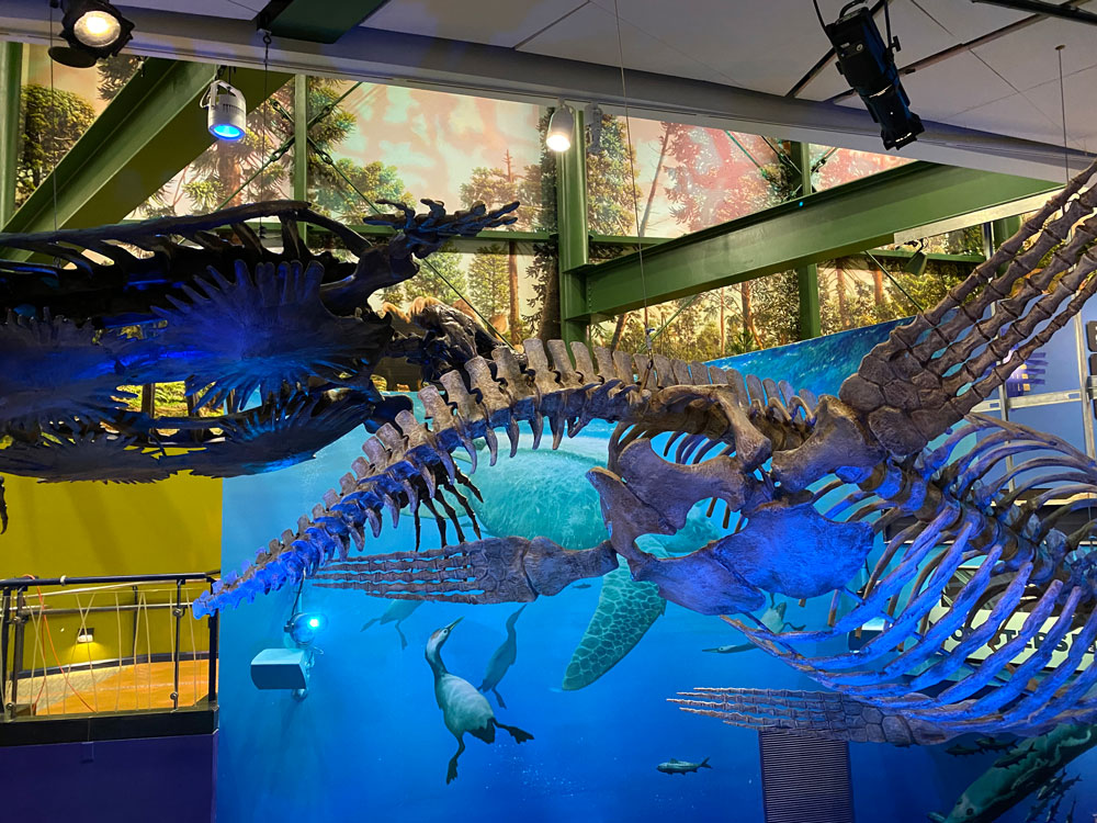 Encountering Dinosphere through a Child's Eyes | The Children's Museum ...