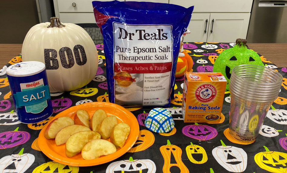 Mummified Apples Science Experiment | The Children's Museum of Indianapolis